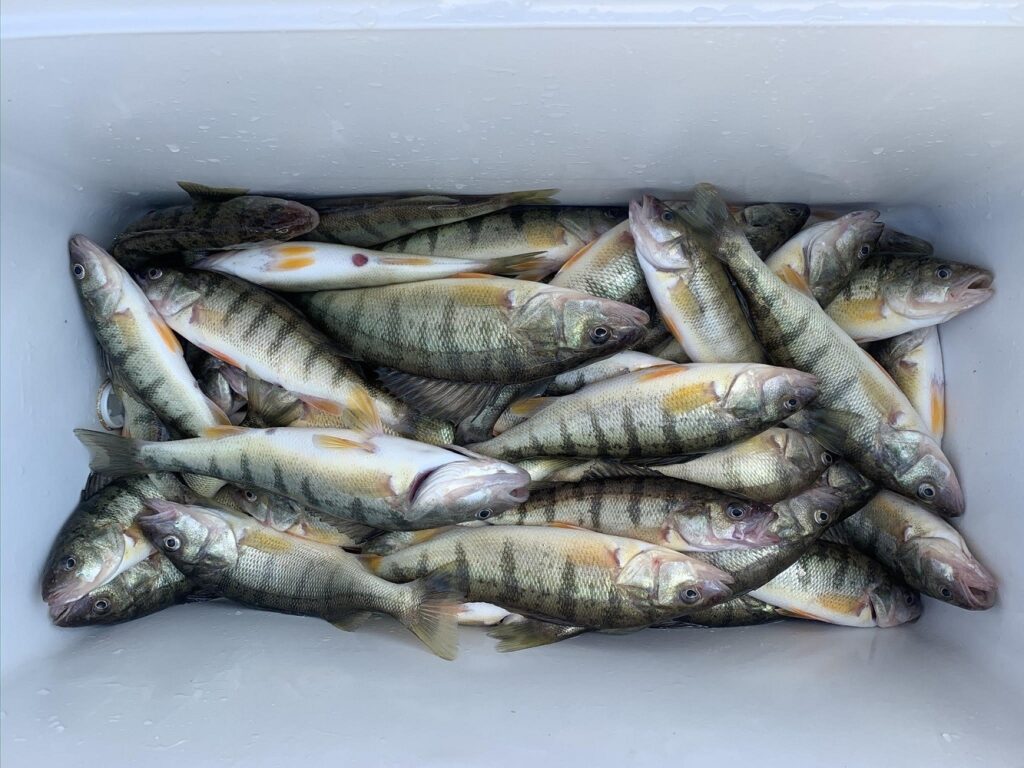 Penrod & Reel - Northern Indiana Lakes & Lake Michigan Fish Charters